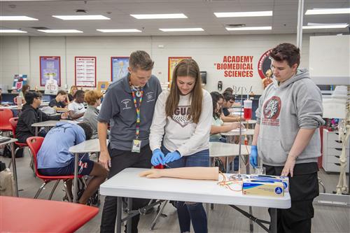 Biomedical Sciences Academy / Biomedical Sciences Academy